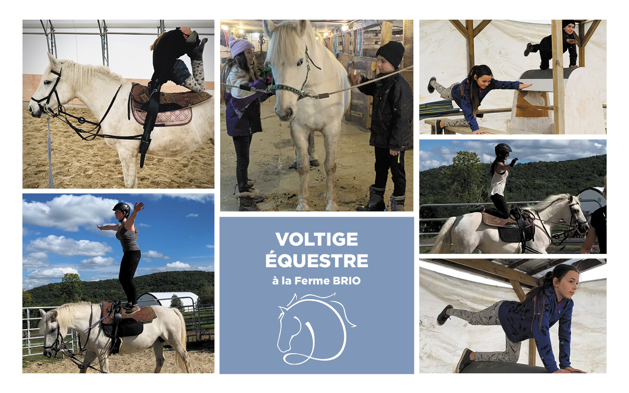 Voltige pour enfants, ados et adultes - Contactez-nous!
